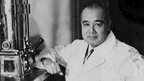 Minoru Shirota, desenvolveu um tipo de lactobacilo que impedia a ...